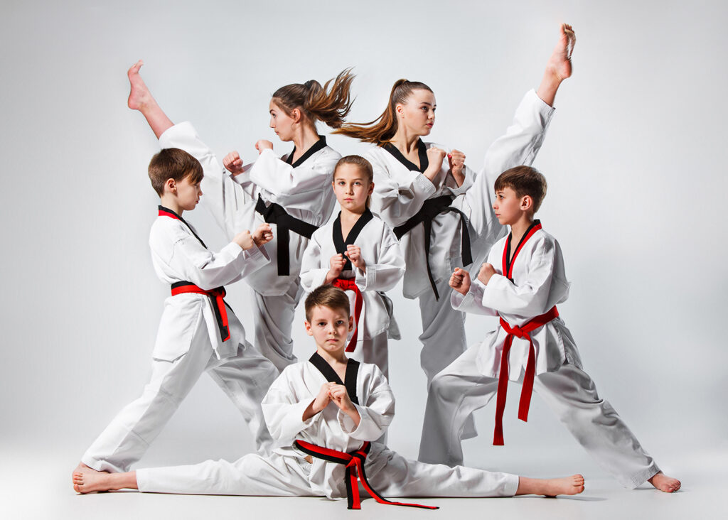 Tae Kwon Do Overview - Martial Arts Meta